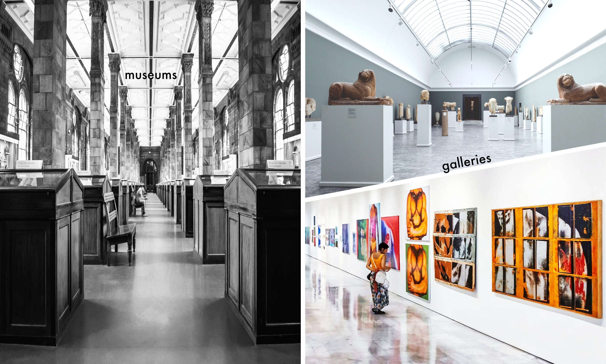 The Curio Public App - Curio